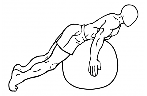 Back Extension on Stability Ball - Ceaseless Fitness