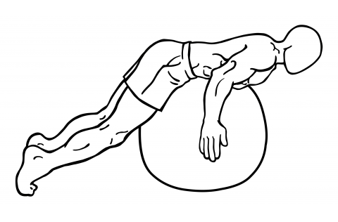 Back Extension on Stability Ball - Ceaseless Fitness