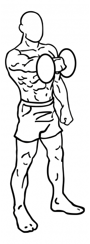Front Raises - Ceaseless Fitness