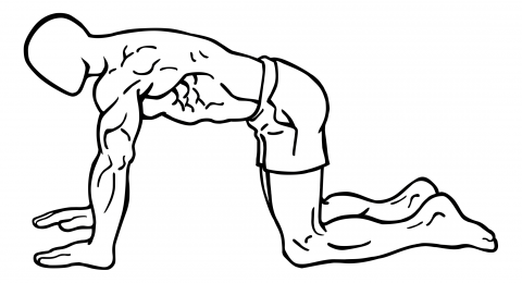 Stationary Abdominal Draw In - Ceaseless Fitness